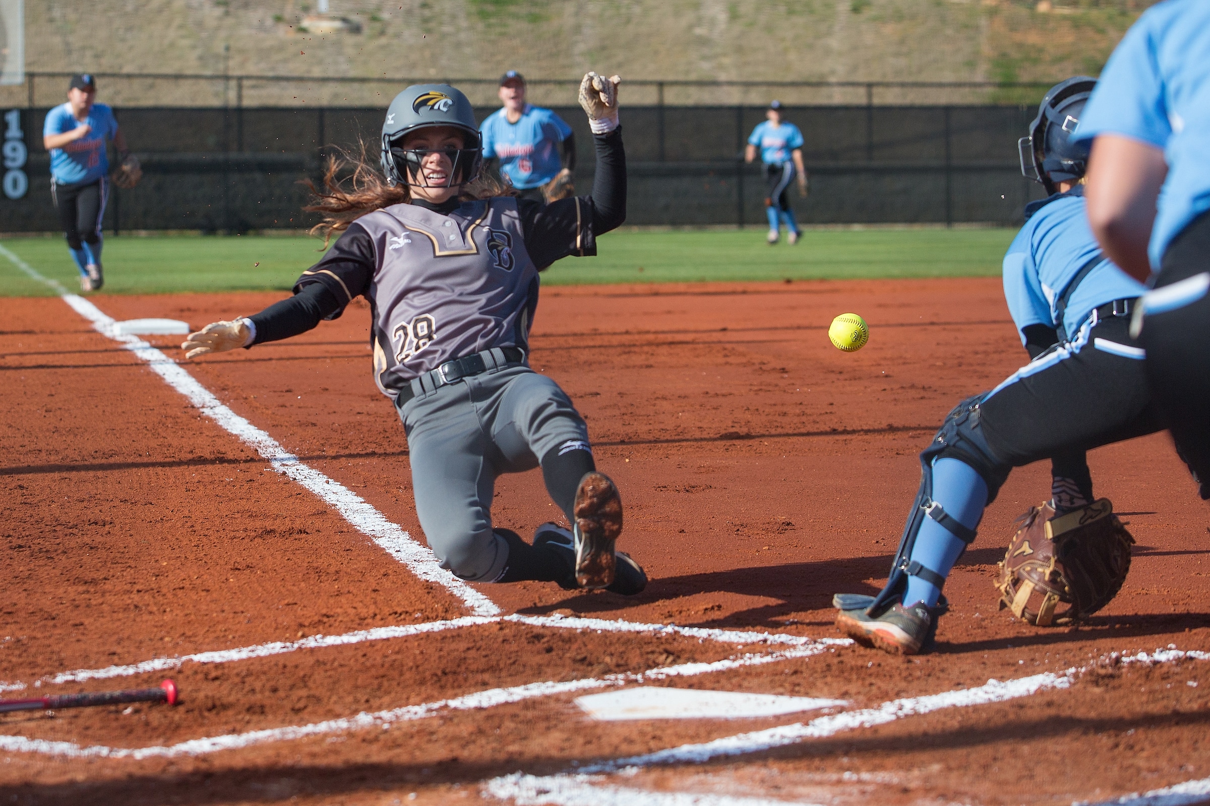 Brenau University Softball Complex